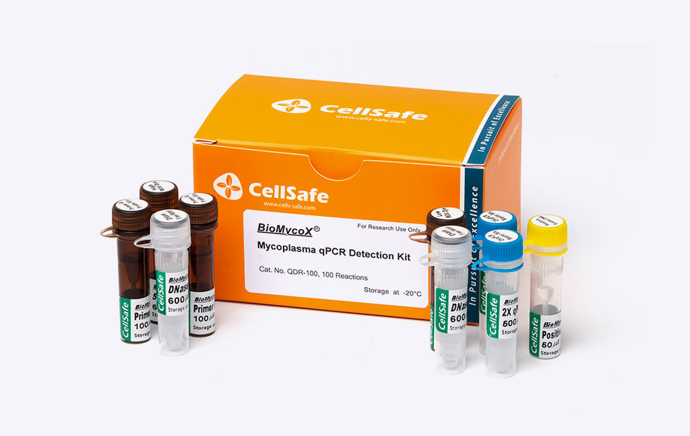 BioMycoX® Mycoplasma qPCR Detection Kit - Detection