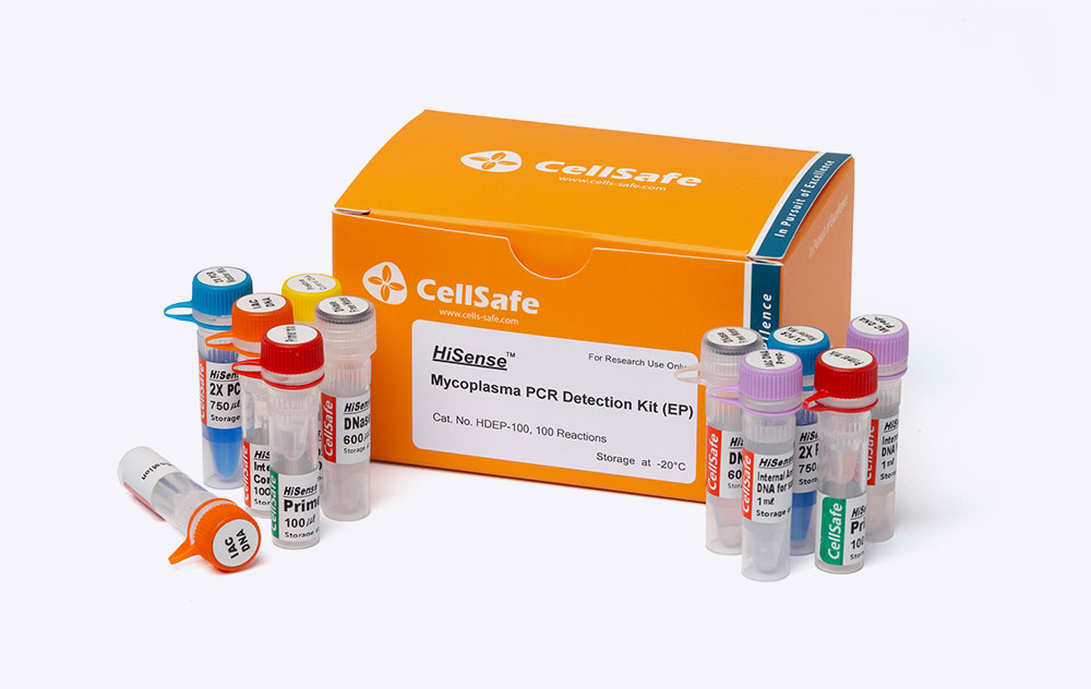 HiSense™ Mycoplasma PCR Detection Kit - Detection