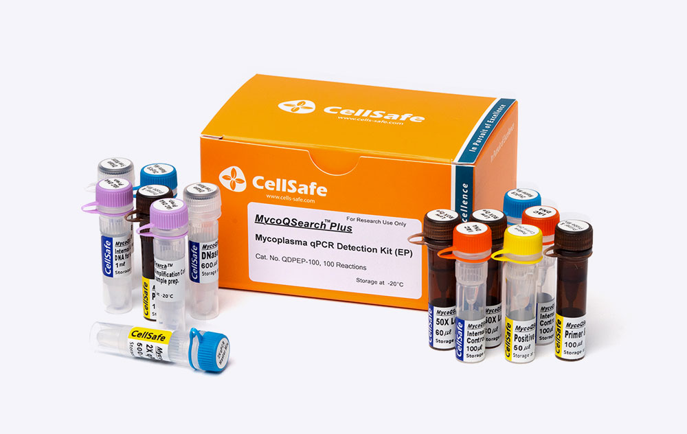 MycoQSearch™ Plus Mycoplasma qPCR Detection Kit - Detection