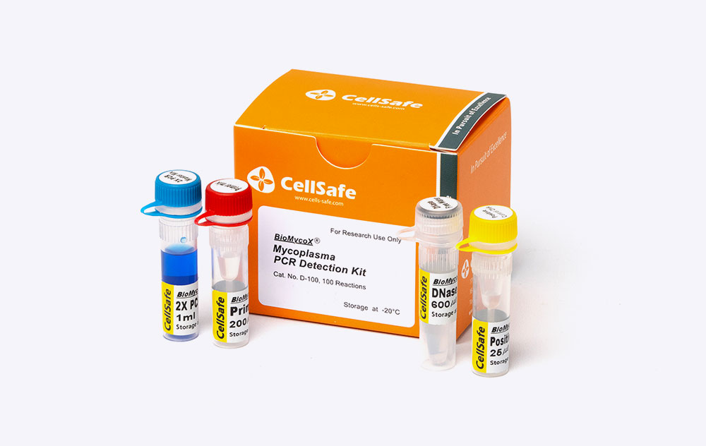 BioMycoX® Mycoplasma PCR Detection Kit - 검출